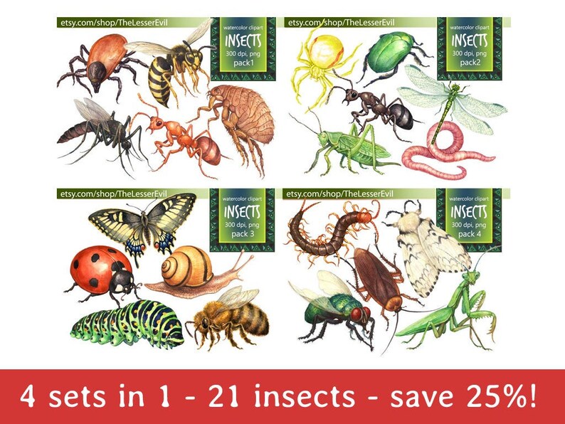 FULL PACK Insects Clipart Digital Watercolor Illustration | Etsy