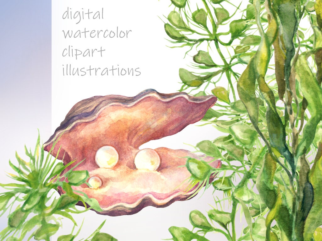 Ocean Creatures Clipart, Coral Reef, Digital Watercolor Illustration ...