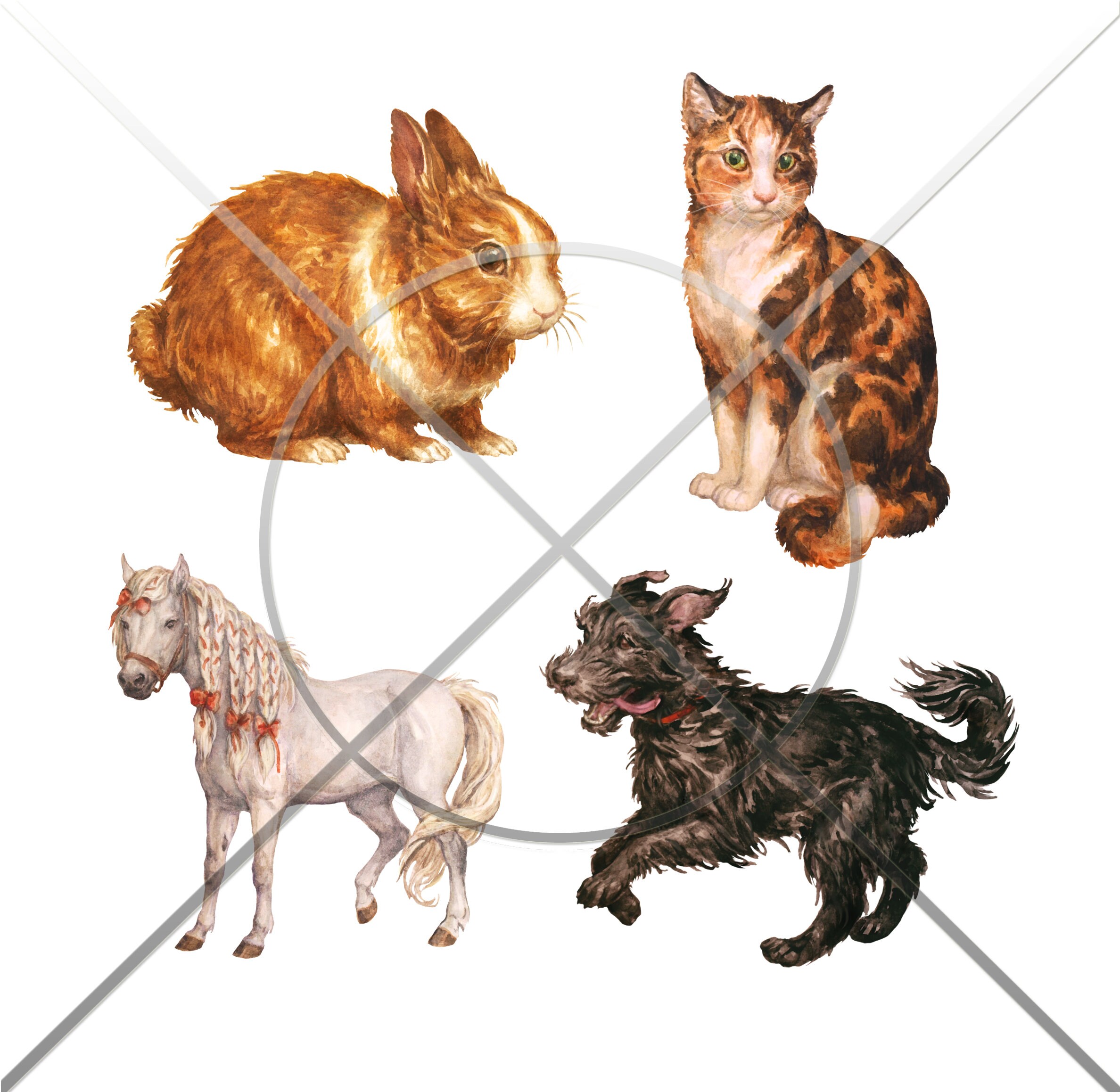 Pets Clipart Digital Watercolor Illustration Pet Animal Clip | Etsy