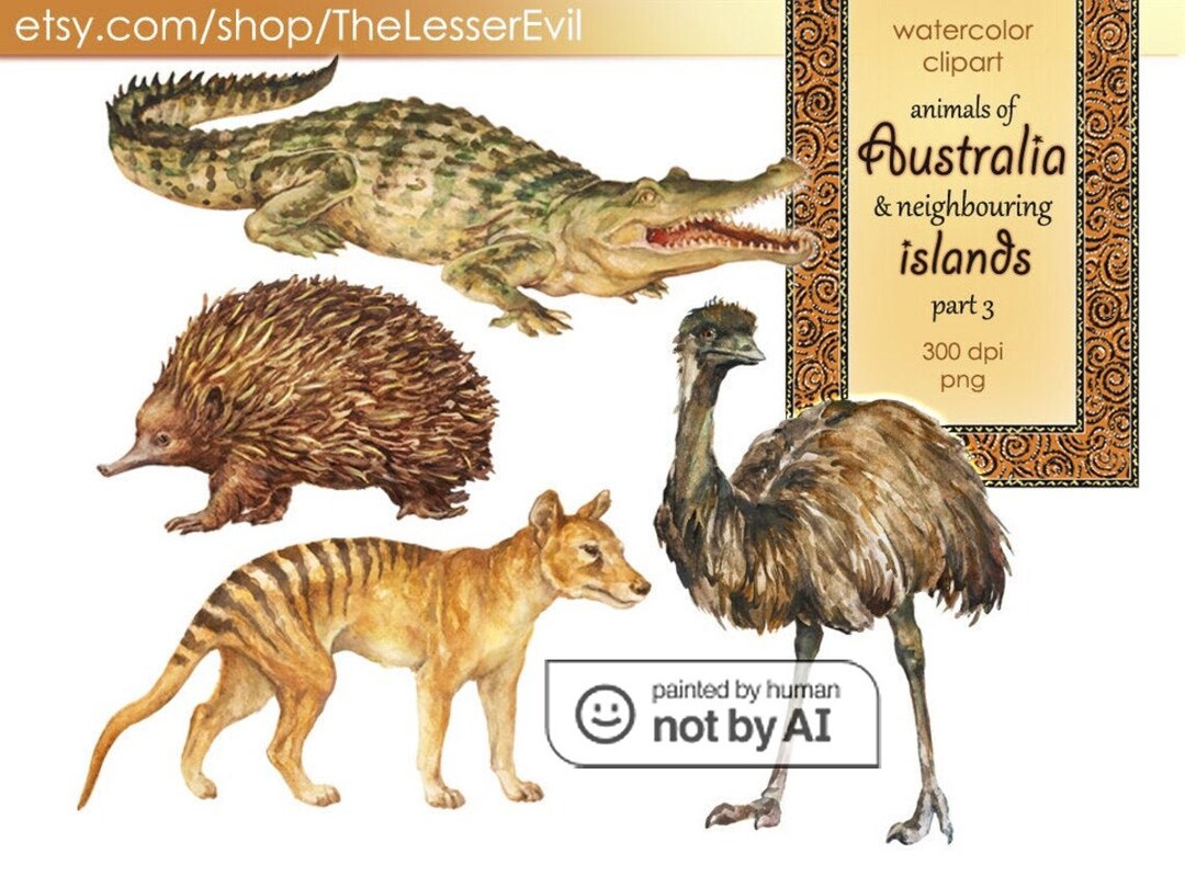 Animals of Australia Clipart, Digital Watercolor Australian Animals ...