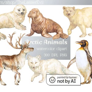 Arctic Animals Clipart, Watercolor Polar Animal Clip Art, Hand-painted ...