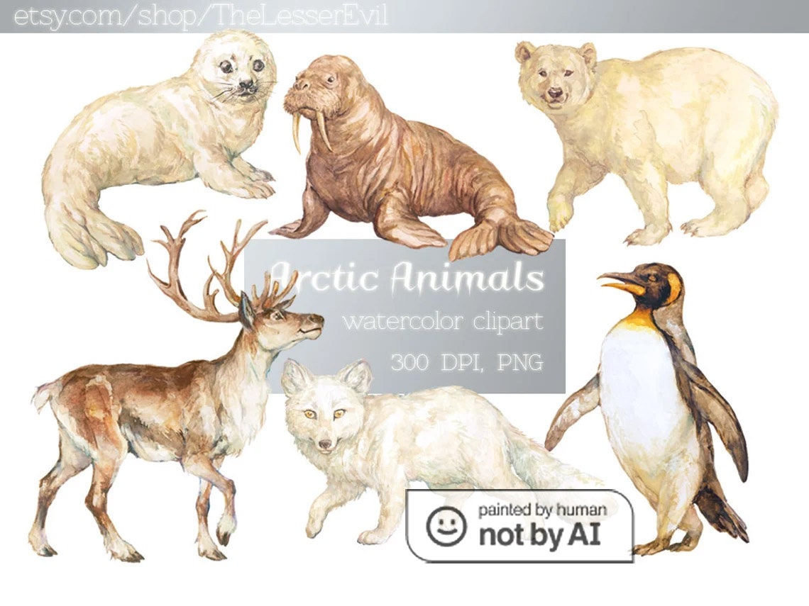 Arctic Animals Clipart, Watercolor Polar Animal Clip Art, Hand-painted ...