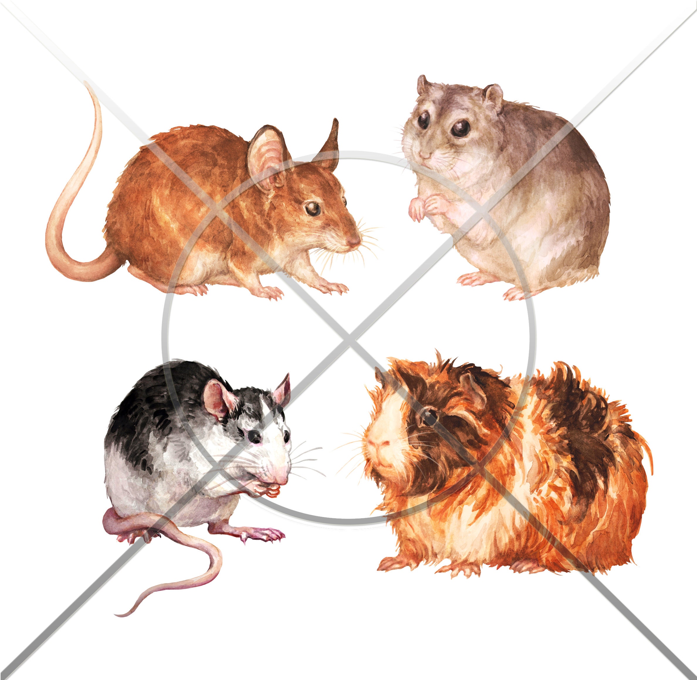 Pets Clipart, Digital Watercolor Illustration, Pet Animal Clip Art ...