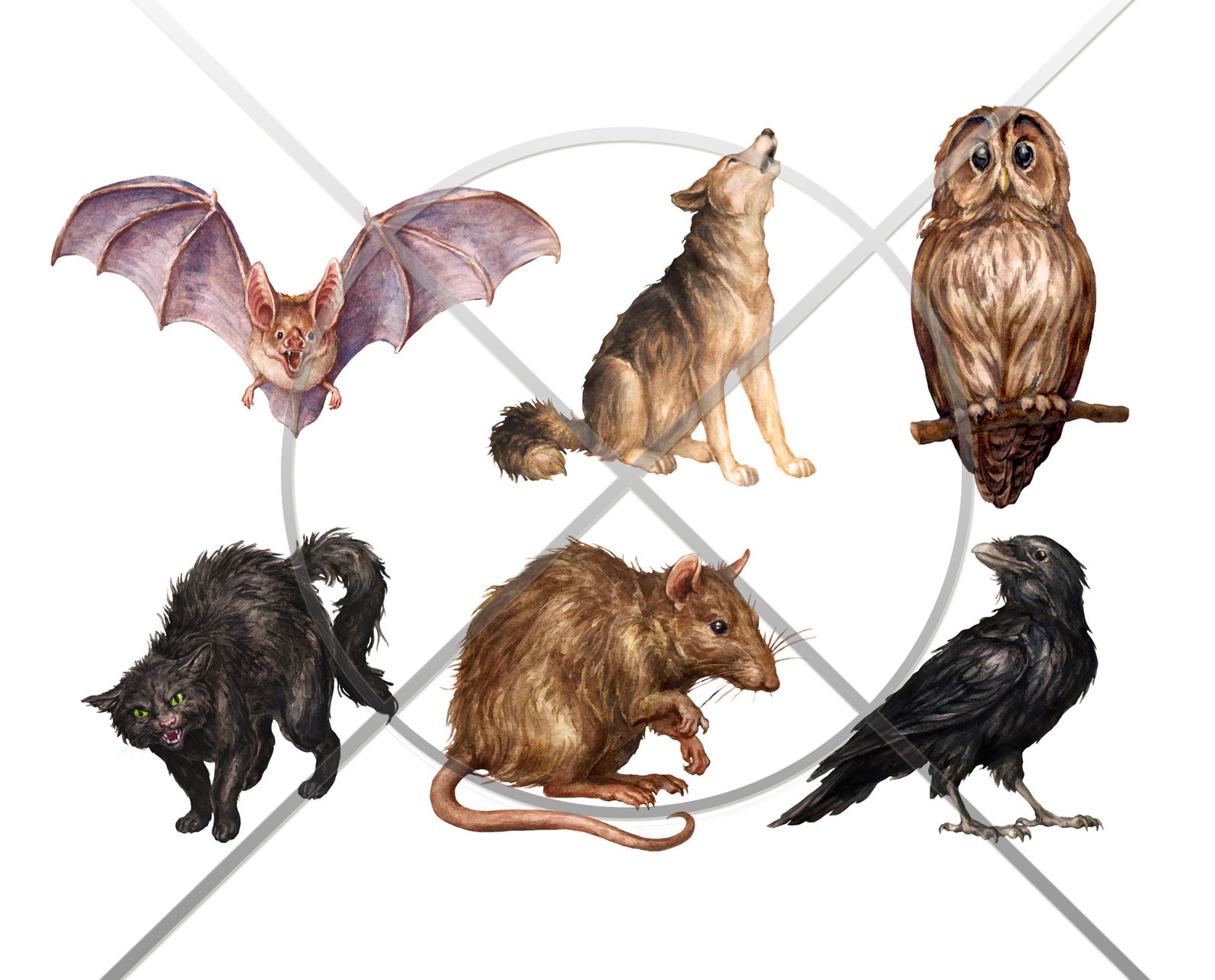 Creatures of the Night Clipart, Digital Watercolor Illustration ...