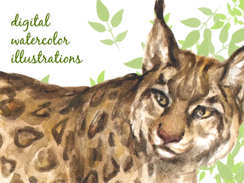Wild Cats Clipart Digital Watercolor Wild Animal Clip Art - Etsy