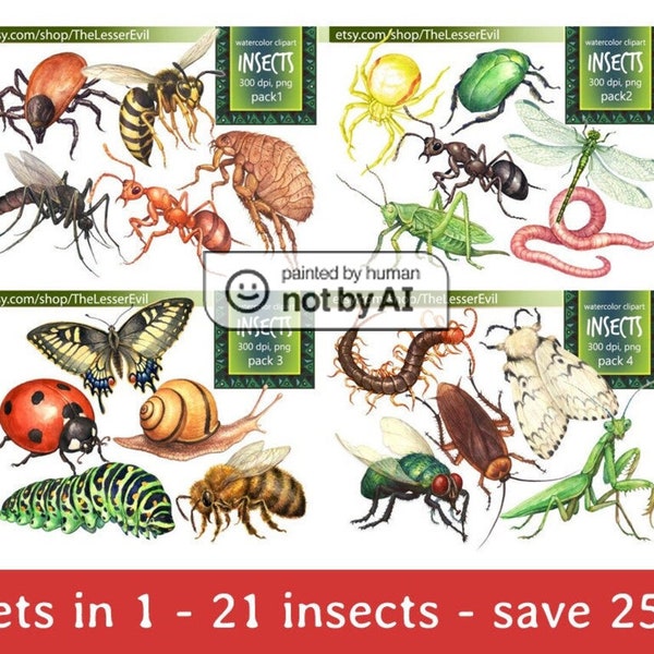 Insect Clipart - Etsy