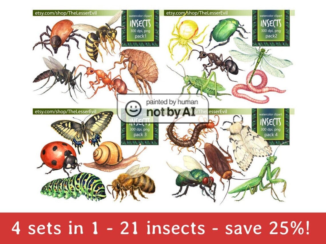 FULL PACK Insects Clipart, Digital Watercolor Illustration, Insect Clip ...