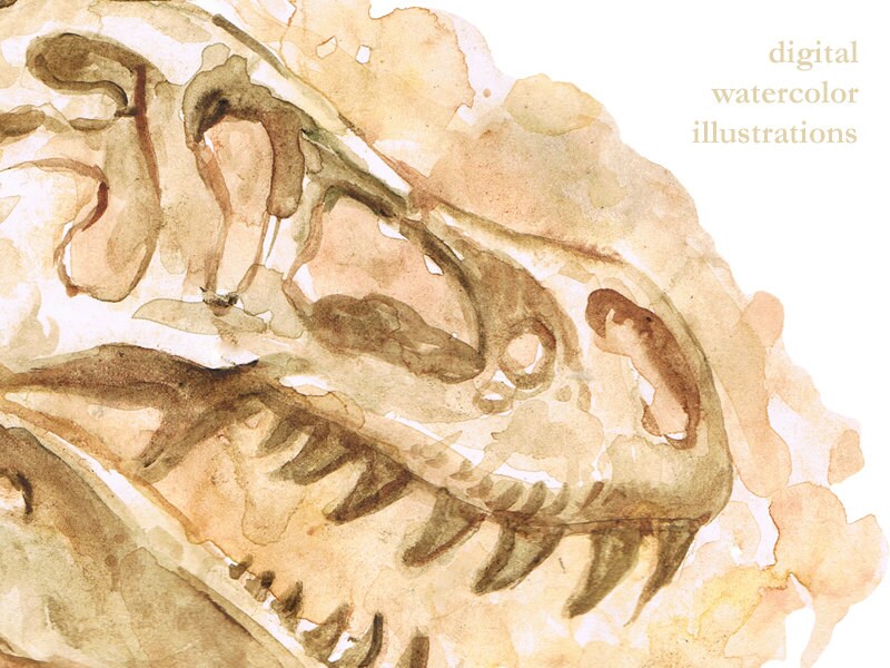 Dinosaur Fossils Clipart Digital Watercolor Illustration - Etsy Australia