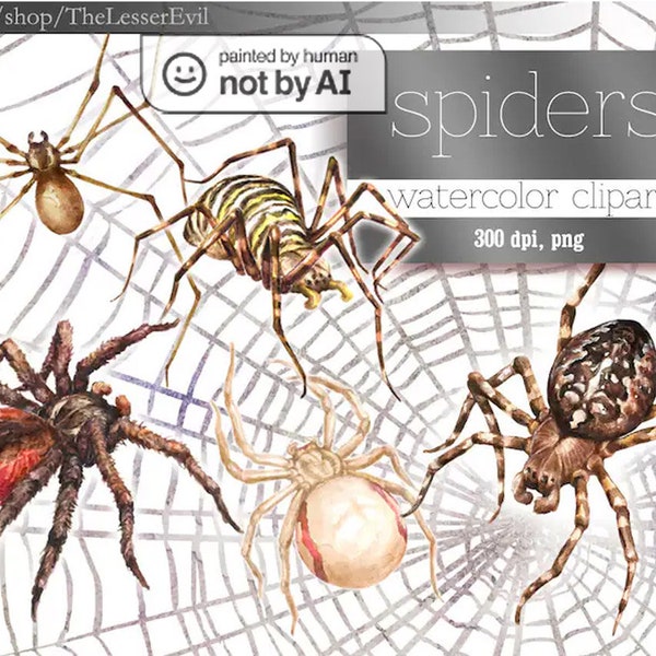 Realistic Spider - Etsy