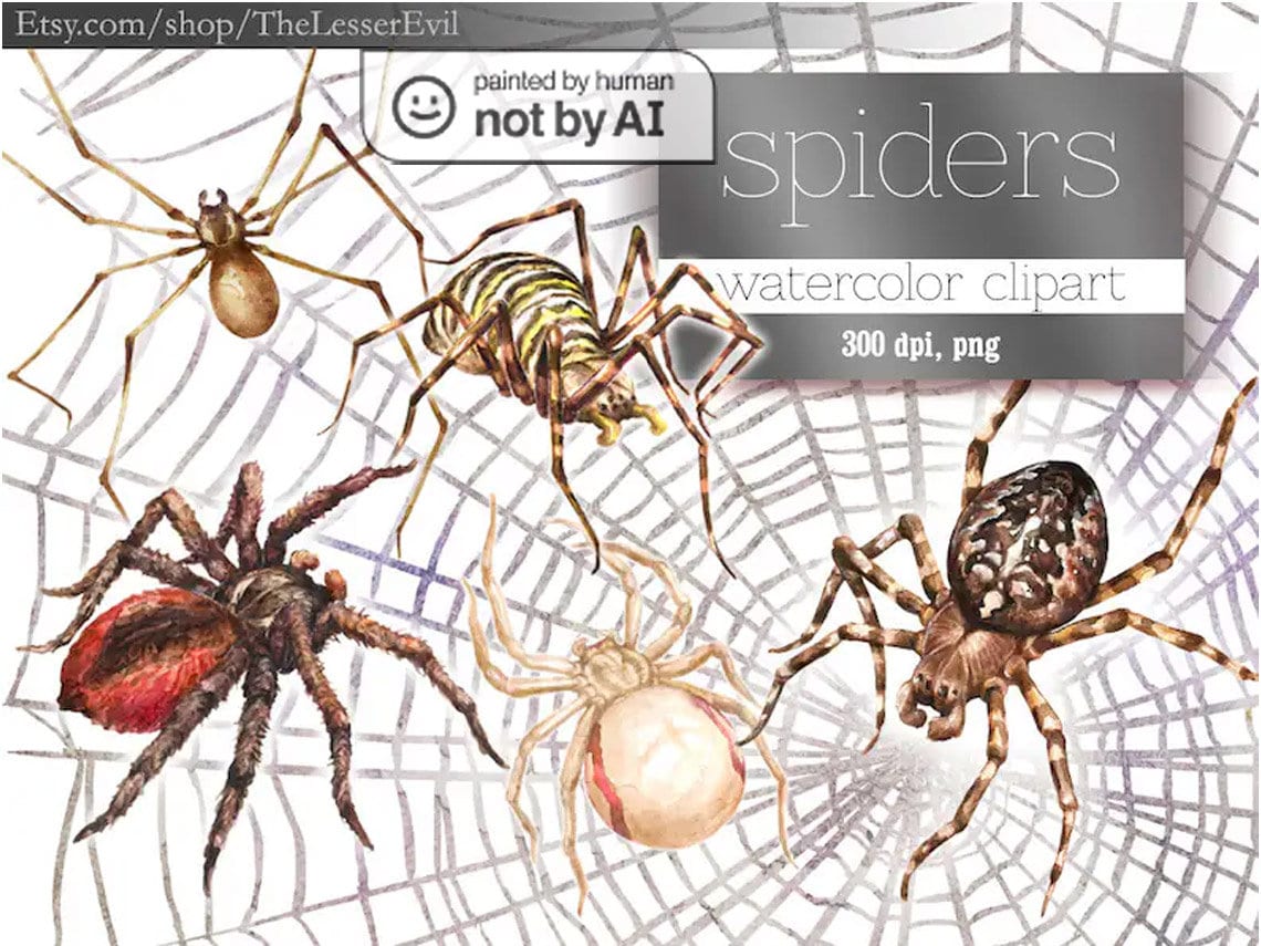 Spider Clipart, Digital Watercolor Spiders Clip Art, Hand-painted ...