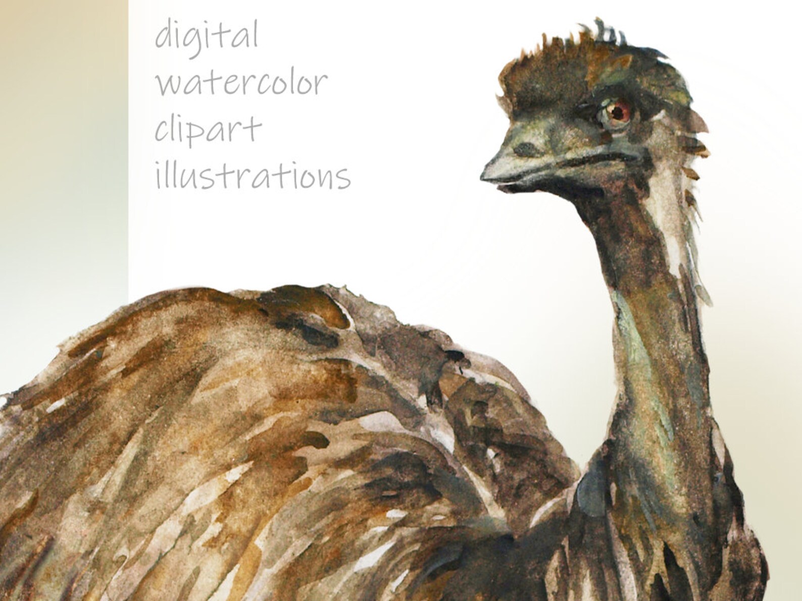 Animals of Australia Clipart, Digital Watercolor Australian Animals ...
