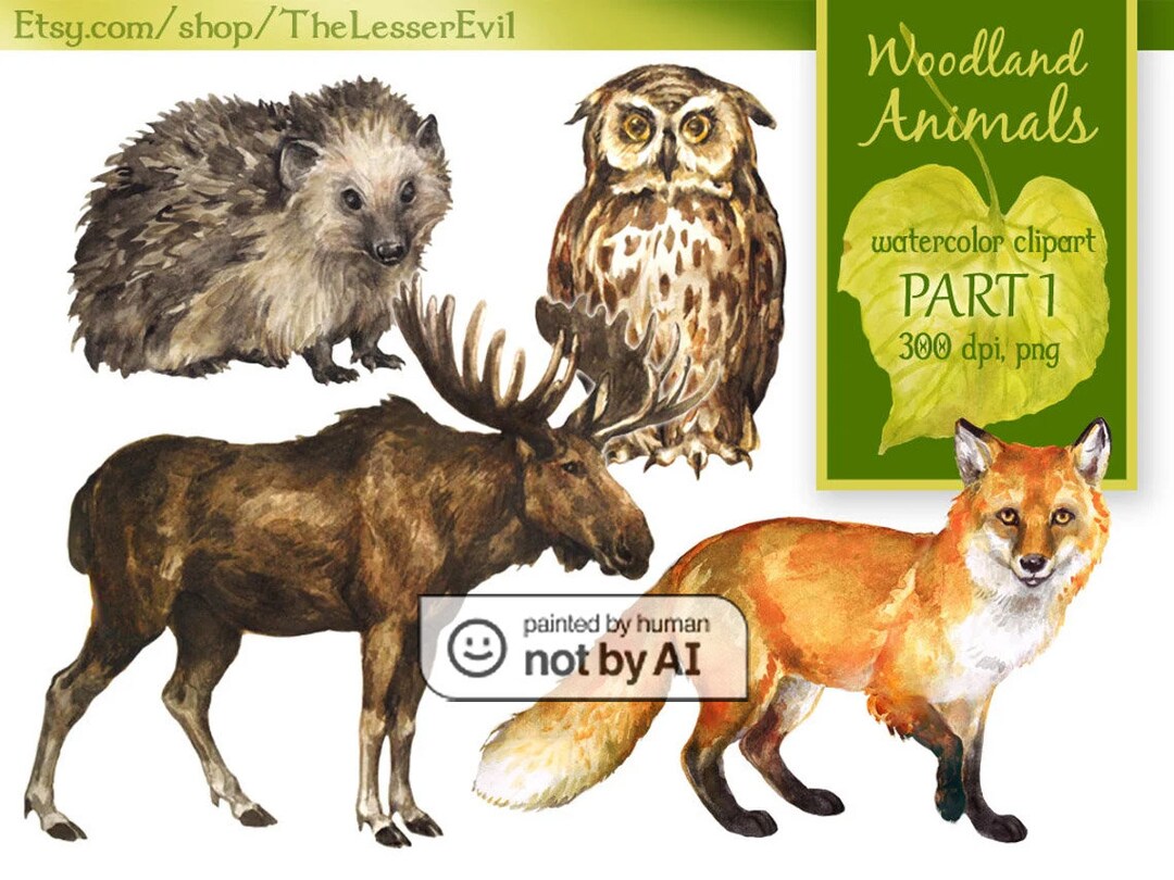 Woodland Animals Clipart, Digital Watercolor Illustration, Forest ...