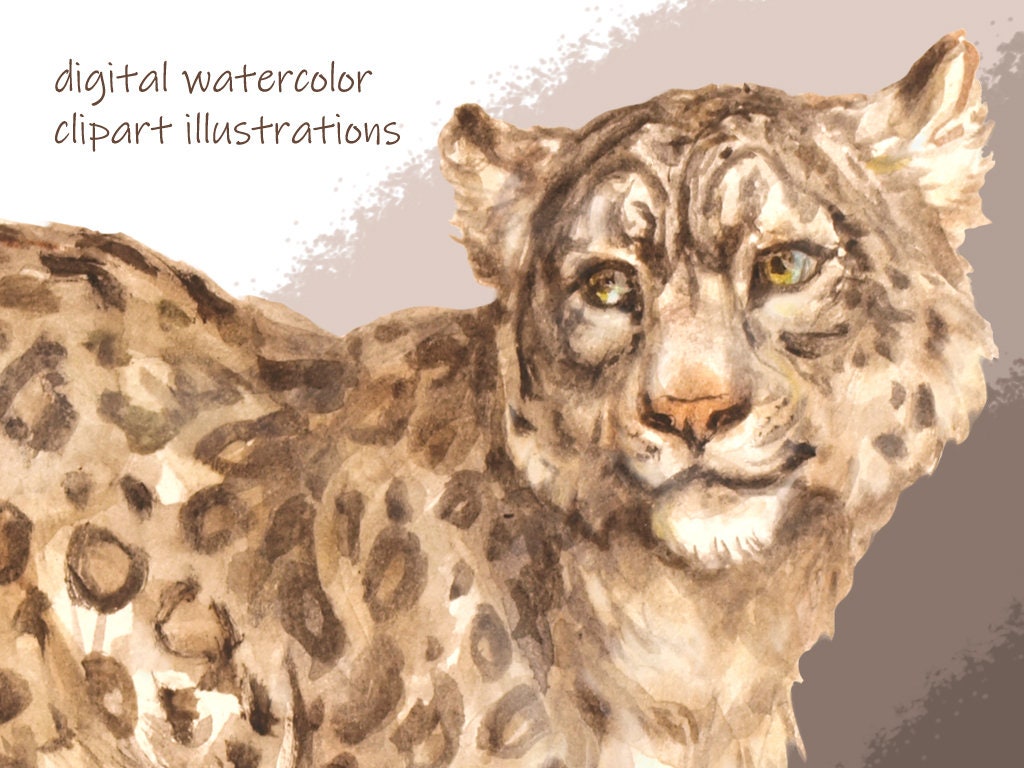 Wild Cats Clipart Digital Watercolor Wild Animal Clip Art - Etsy