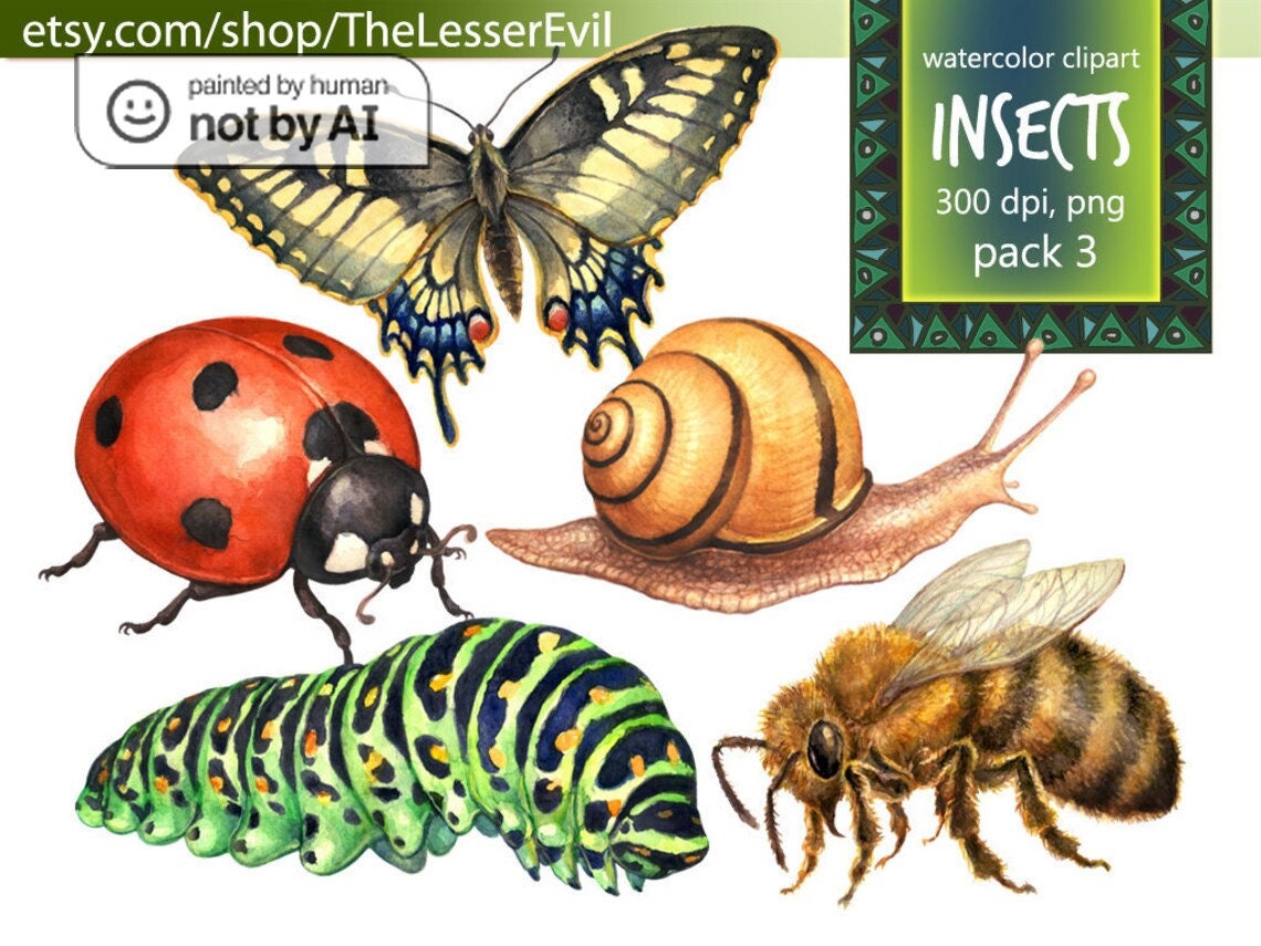 Insects Clipart, Digital Watercolor Illustration, Bug, Insect Clip Art ...