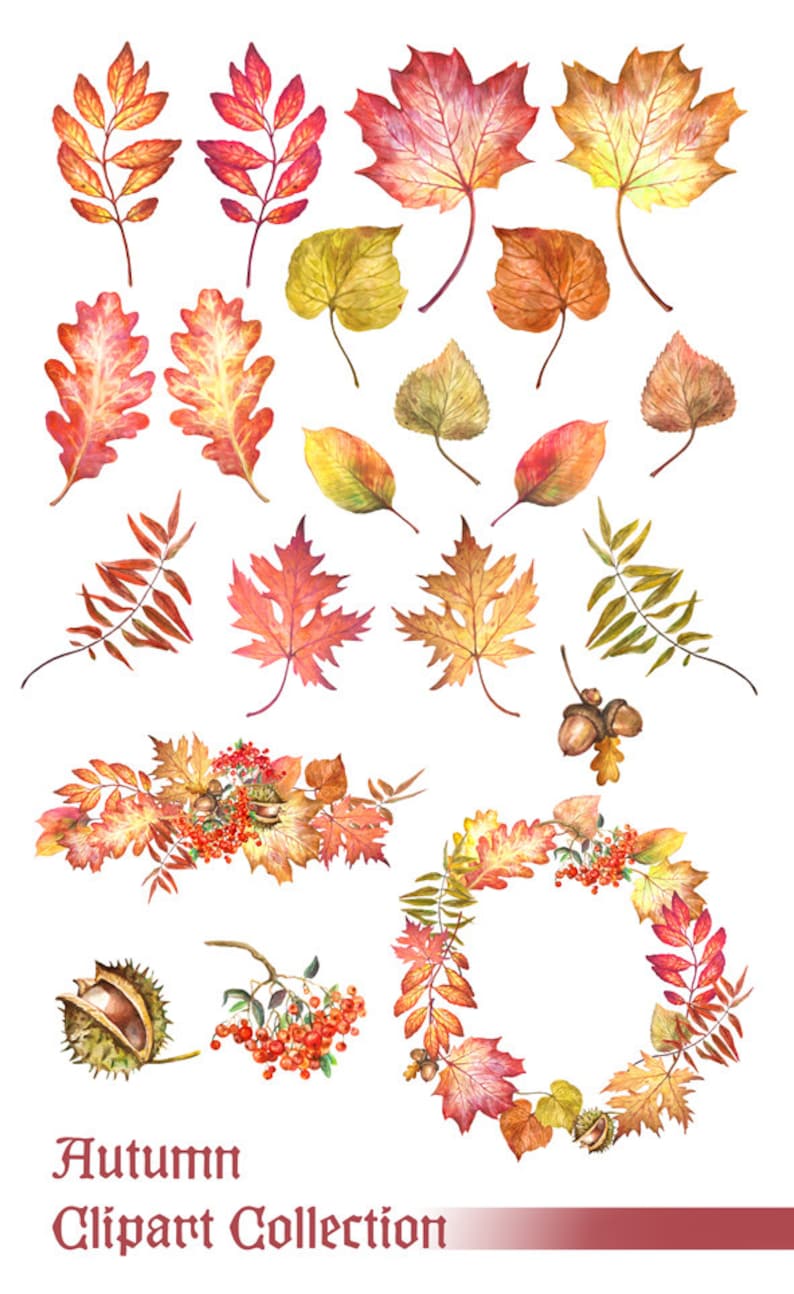 Autumn Leaves Clipart Set, Leaf Wreath & Bouquet, Hand Drawn Digital ...