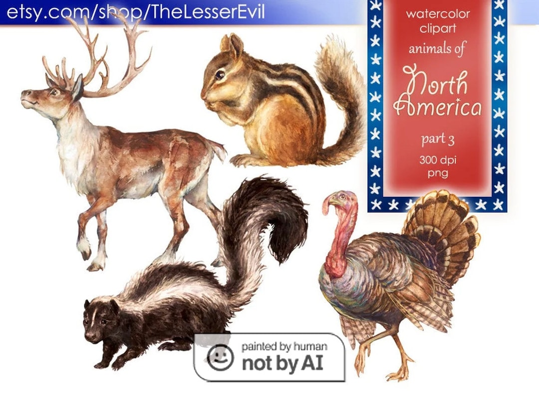 Animals of North America Clipart, Digital Watercolor Illustration ...
