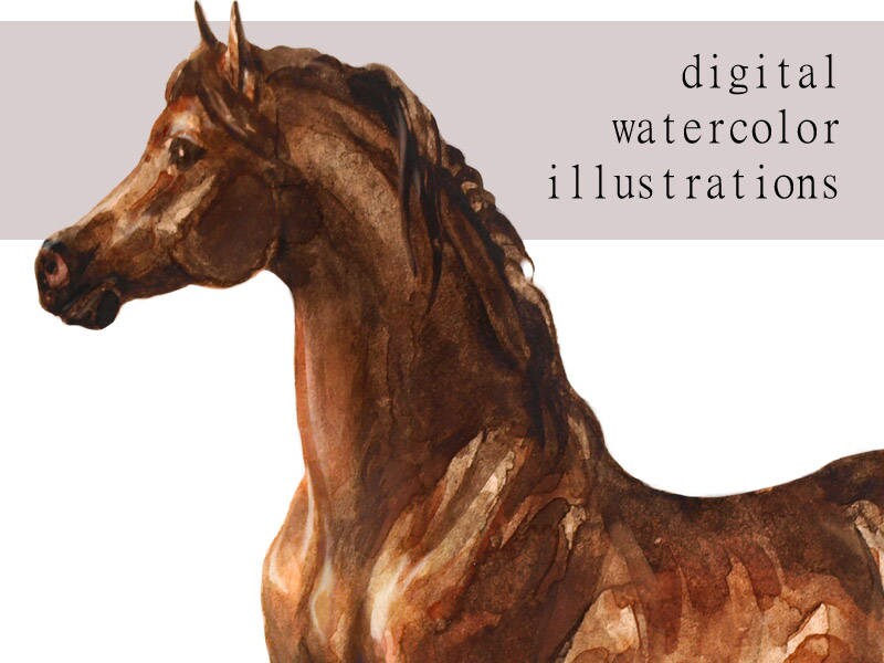 Horse Clipart, Digital Watercolor Illustration, Animal Clip Art, Hand ...