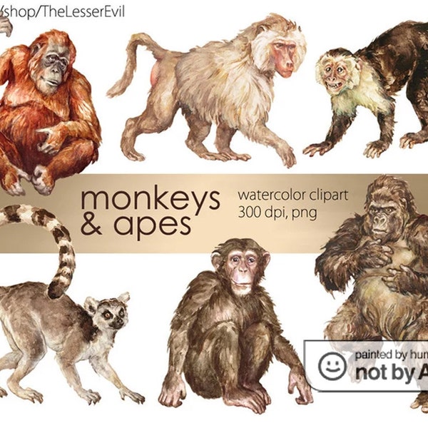 Monkey Clip Art - Etsy
