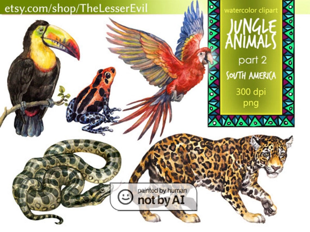 Jungle Animals Clipart, Digital Watercolor Tropical Animals of Amazon ...