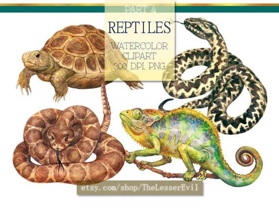 Reptiles Clipart Digital Watercolor Illustration Reptile | Etsy