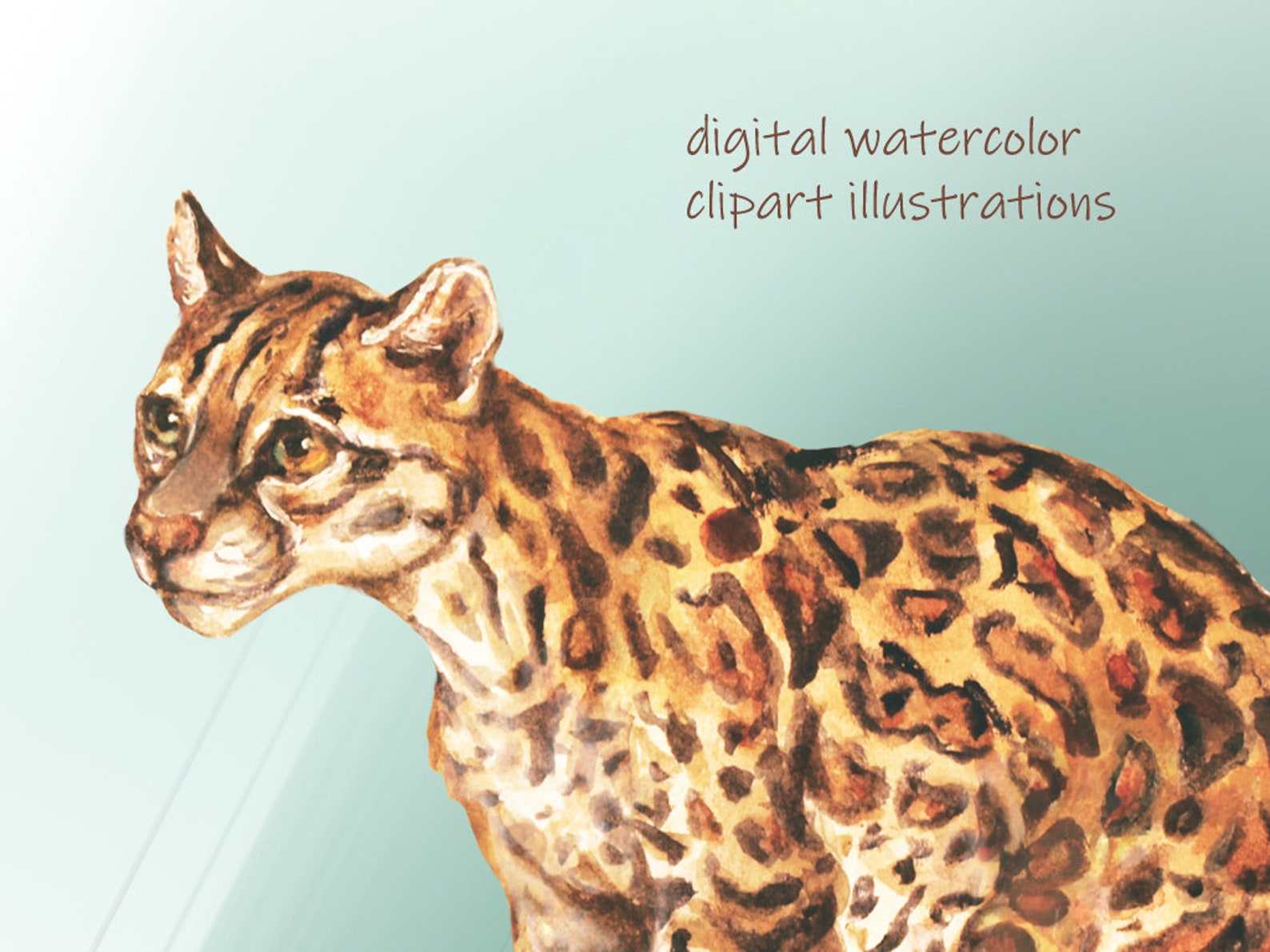 Wild Cats Clipart, Digital Watercolor Wild Animal Clip Art, Hand ...