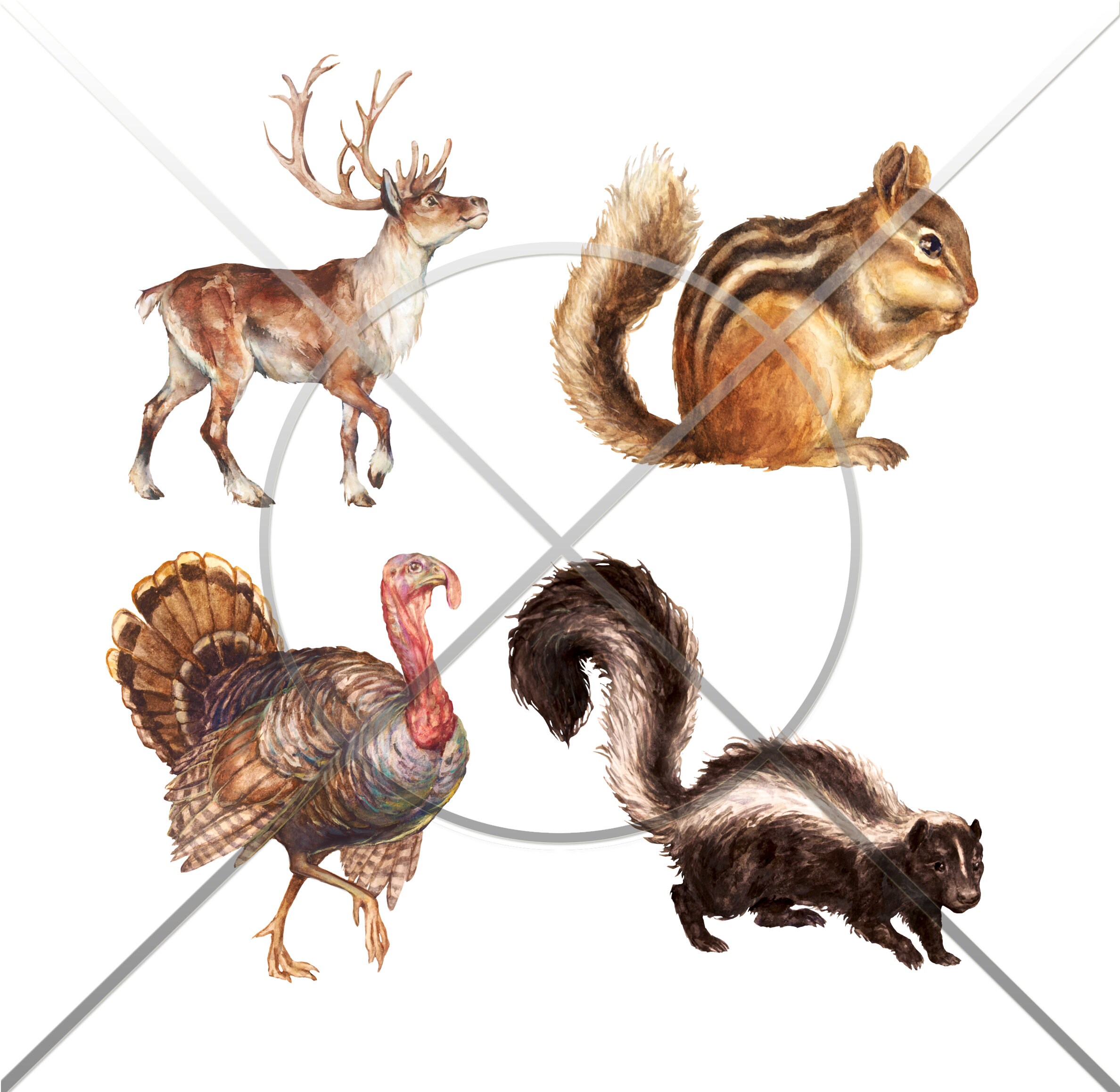 FULL PACK Animals of North America Clipart Digital Watercolor - Etsy