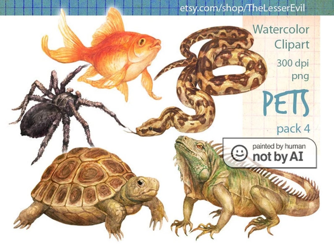 Pets Clipart, Digital Watercolor Illustration, Pet Animal Clip Art ...