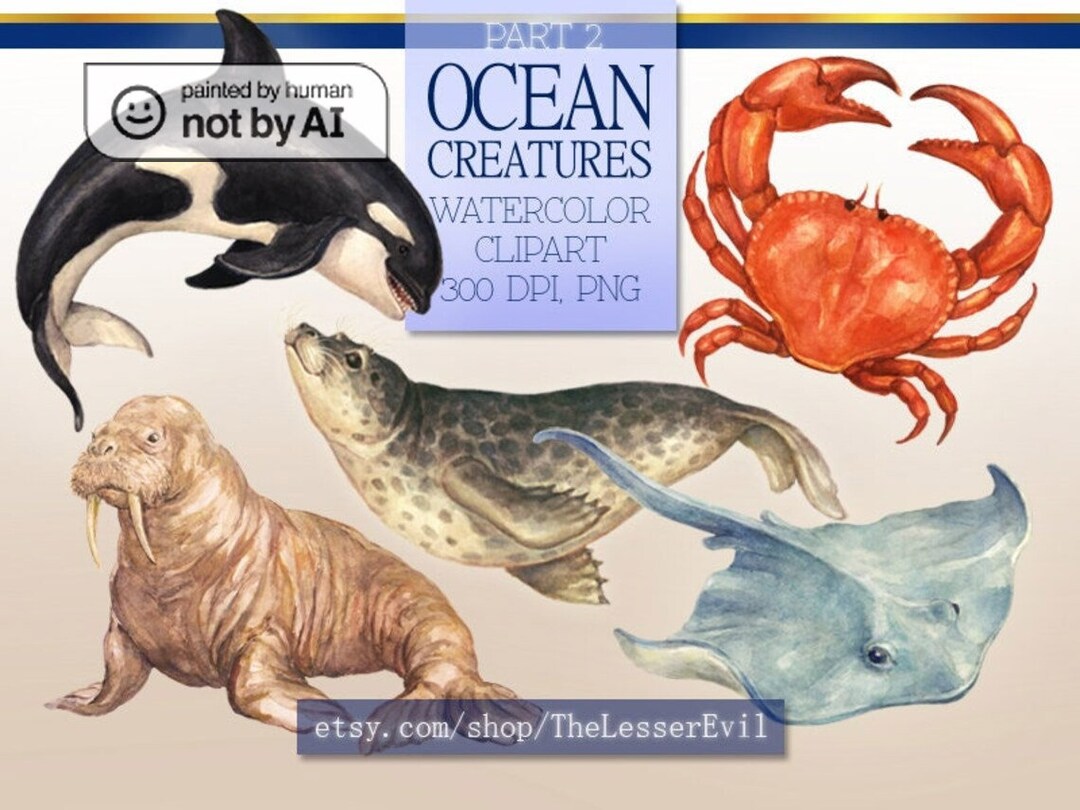 Ocean Creatures Clipart, Digital Watercolor Illustration, Sea Life Clip ...