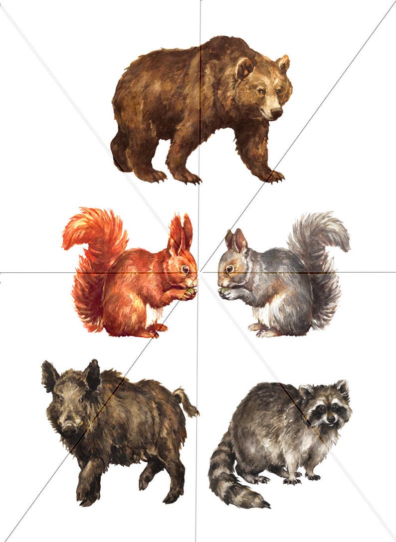 FULL PACK Woodland Animals Clipart, Digital Watercolor, Forest Animal ...