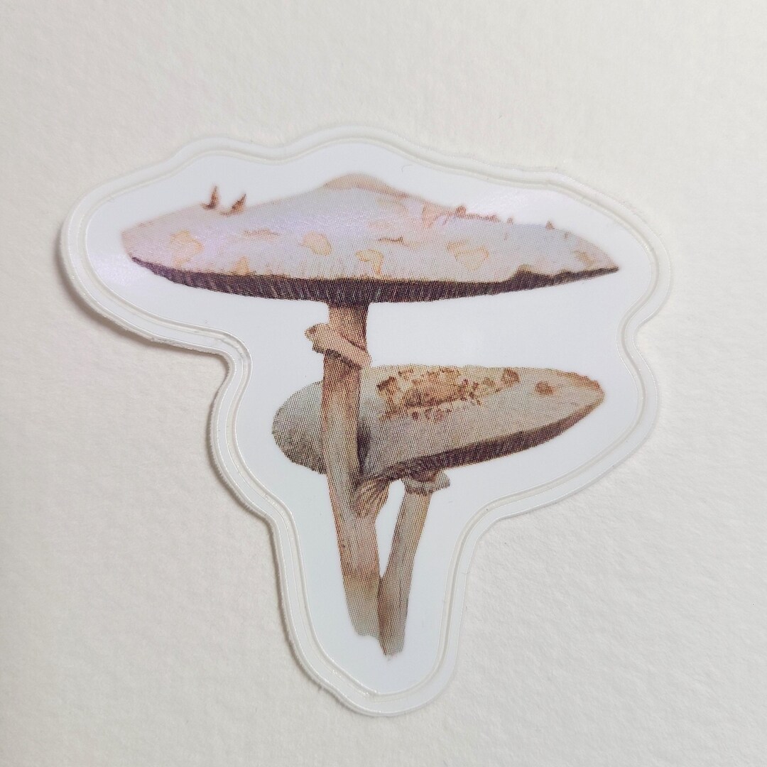 Parasol Mushroom Sticker - Etsy