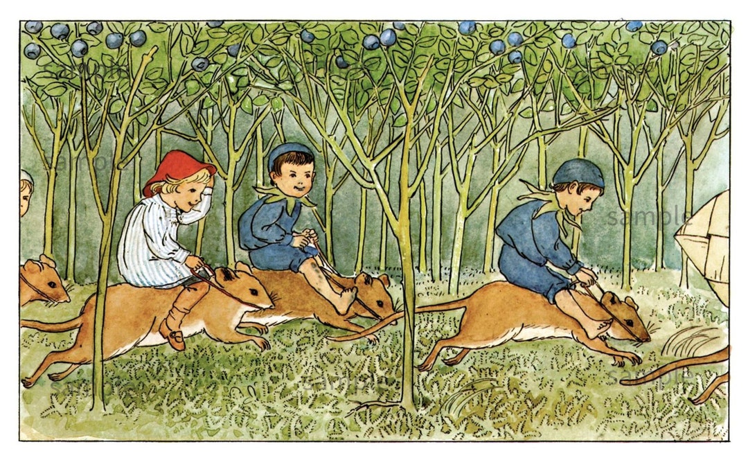 Elsa Beskow Blueberry Forest Race, Cute Woodland Creatures and Children ...