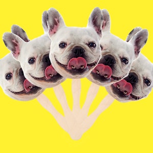 Big Dog Head, Pet Face Fans on a Stick, Big Head Sign for Graduation ...