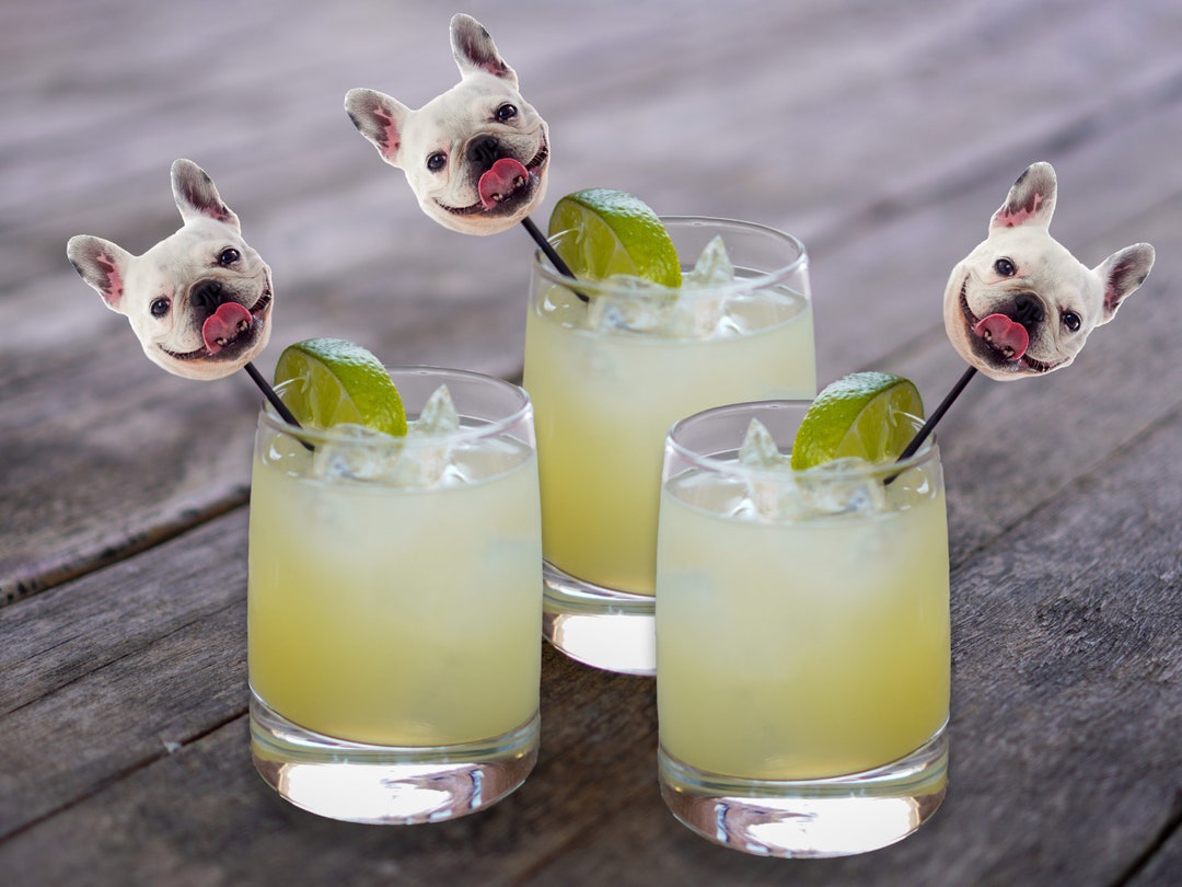 Drink Stirrers Personalized With Dog Face, Pet Birthday Stir Sticks ...