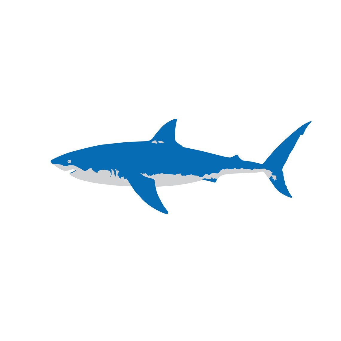 Personalized Shark Notepad, Custom Stationery - Etsy