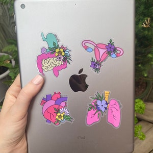 Floral Uterus Womb Anatomy Sticker - Etsy