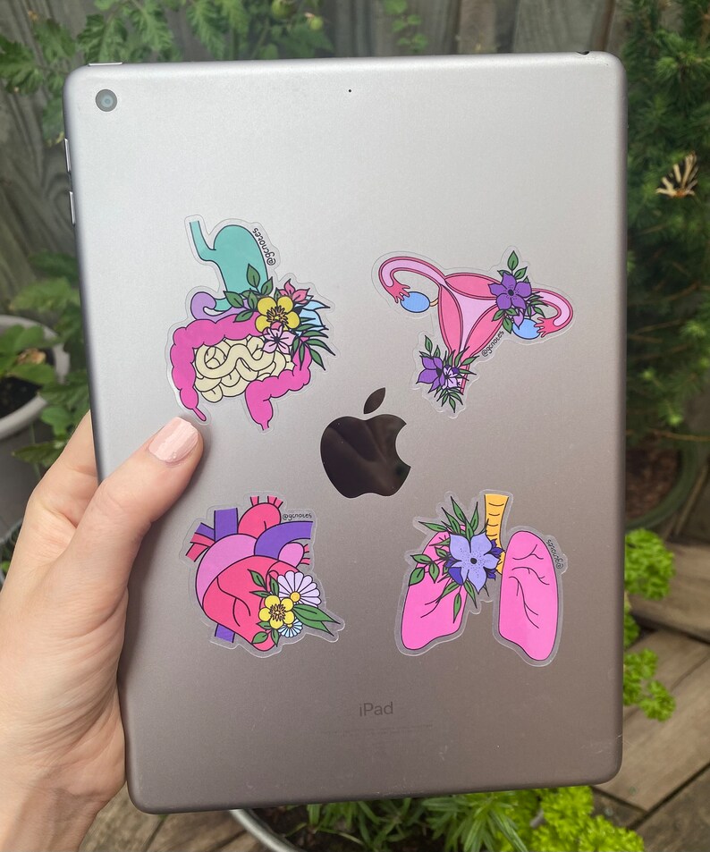 Floral Uterus Womb Anatomy Sticker - Etsy