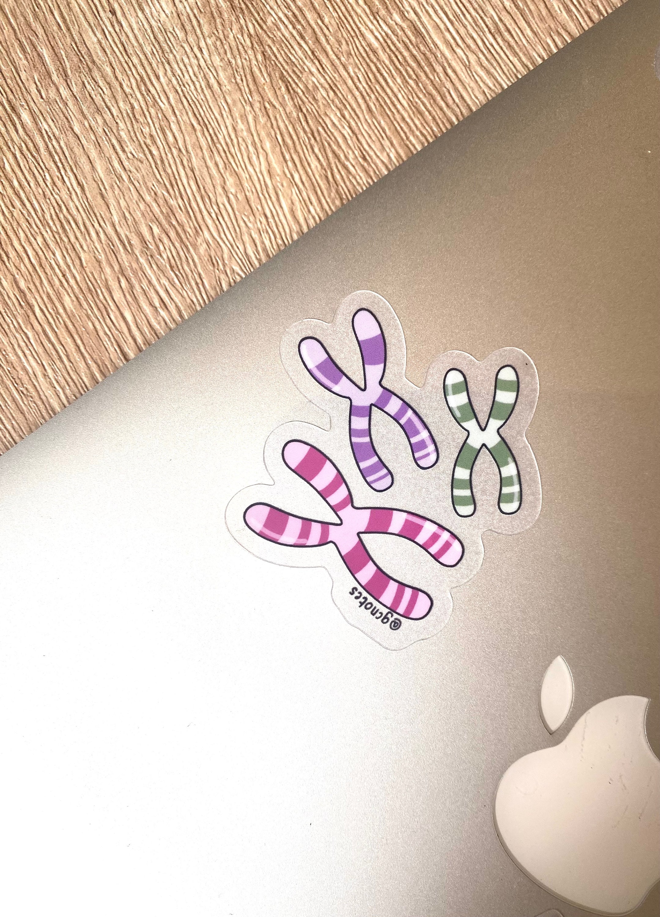 Chromosome DNA Genetics Transparent Sticker - Etsy