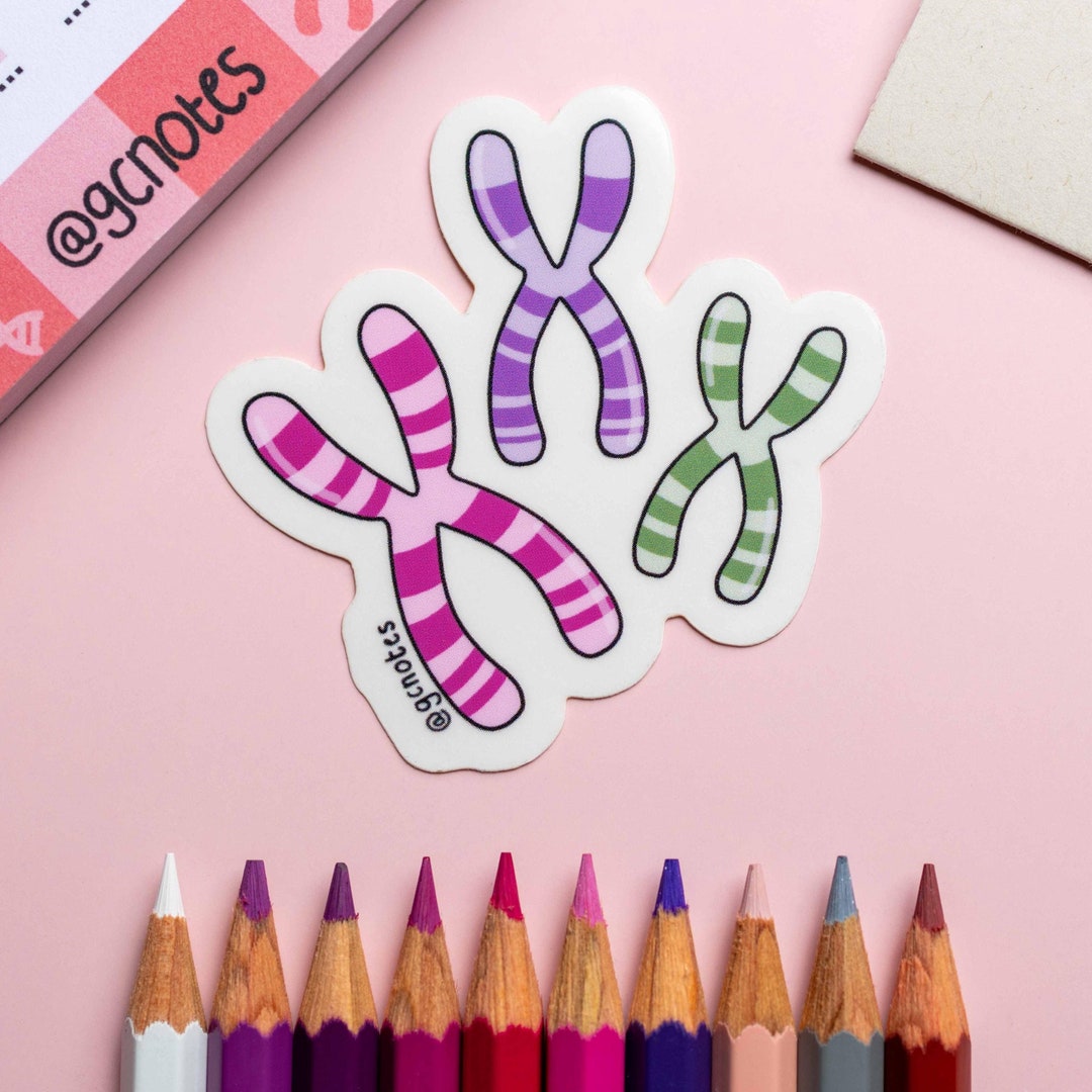 Chromosome DNA Genetics Transparent Sticker - Etsy