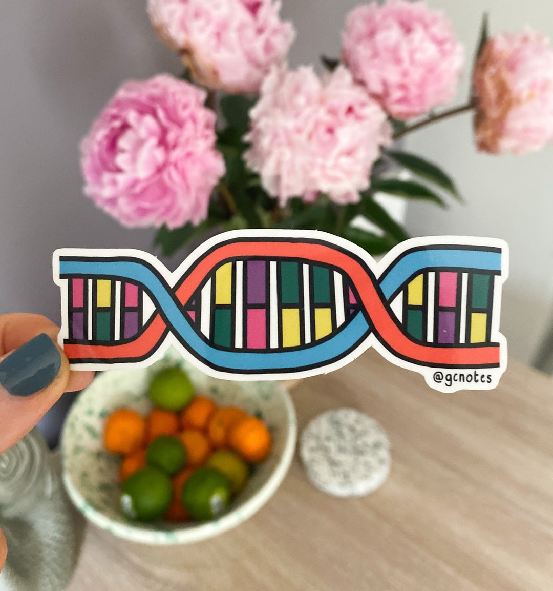 DNA Helix Transparent Sticker - Etsy