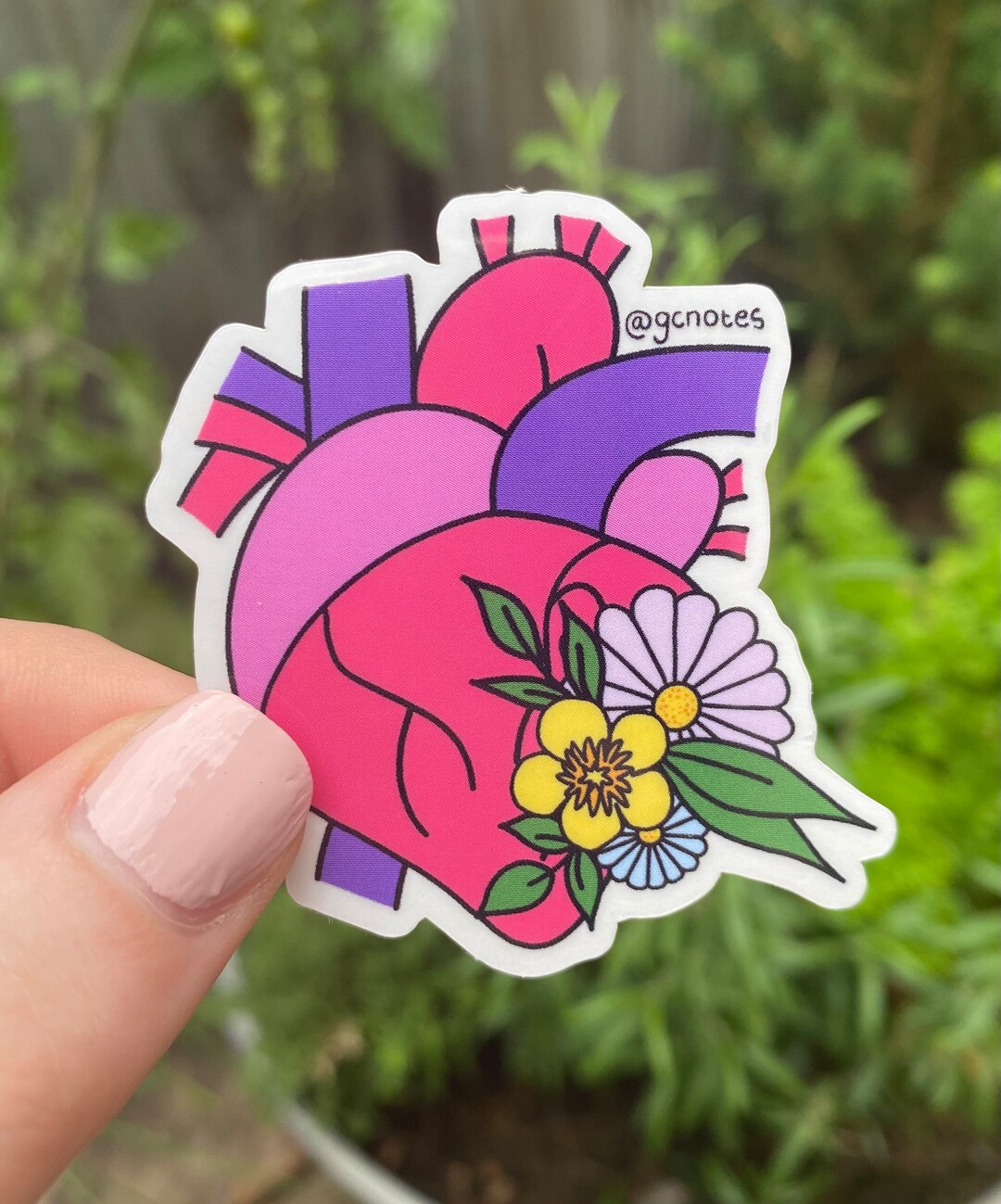Floral Heart Cardiology Anatomy Sticker - Etsy