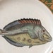 Vintage Chinese Large Painted Fish Plate Wall Decor Floral Gold Trim ...