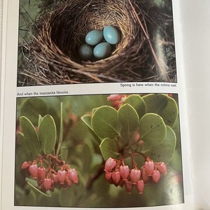 Vintage 1980s Tour Guide Souvenir Bryce Canyon Through the Seasons ...