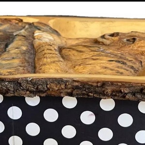 Vintage 1986 Hand Crafted 3D Bobcat Wood Carving on Tree Slab Signed ...