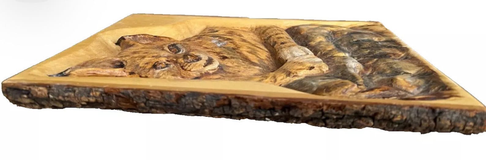 Vintage 1986 Hand Crafted 3D Bobcat Wood Carving on Tree Slab Signed ...
