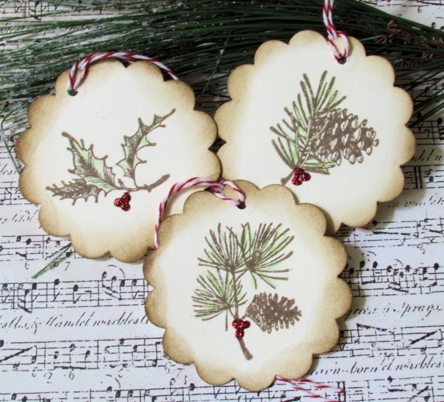 Natural Pine Gift Tags, Christmas Gift Tags, Nature Gift Tags, Holiday ...
