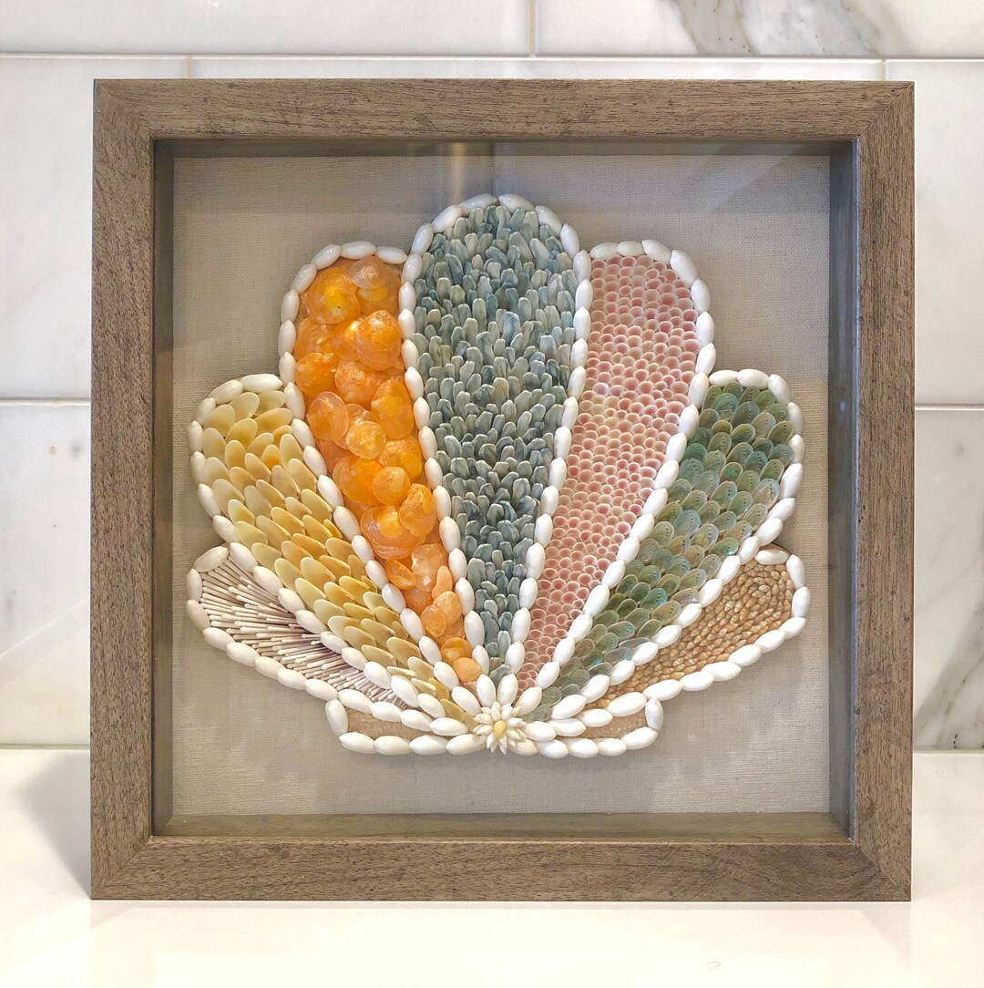 Mini Sea Shell Shell Shaped Shadow Box Wall Hanging 9x9 - Etsy