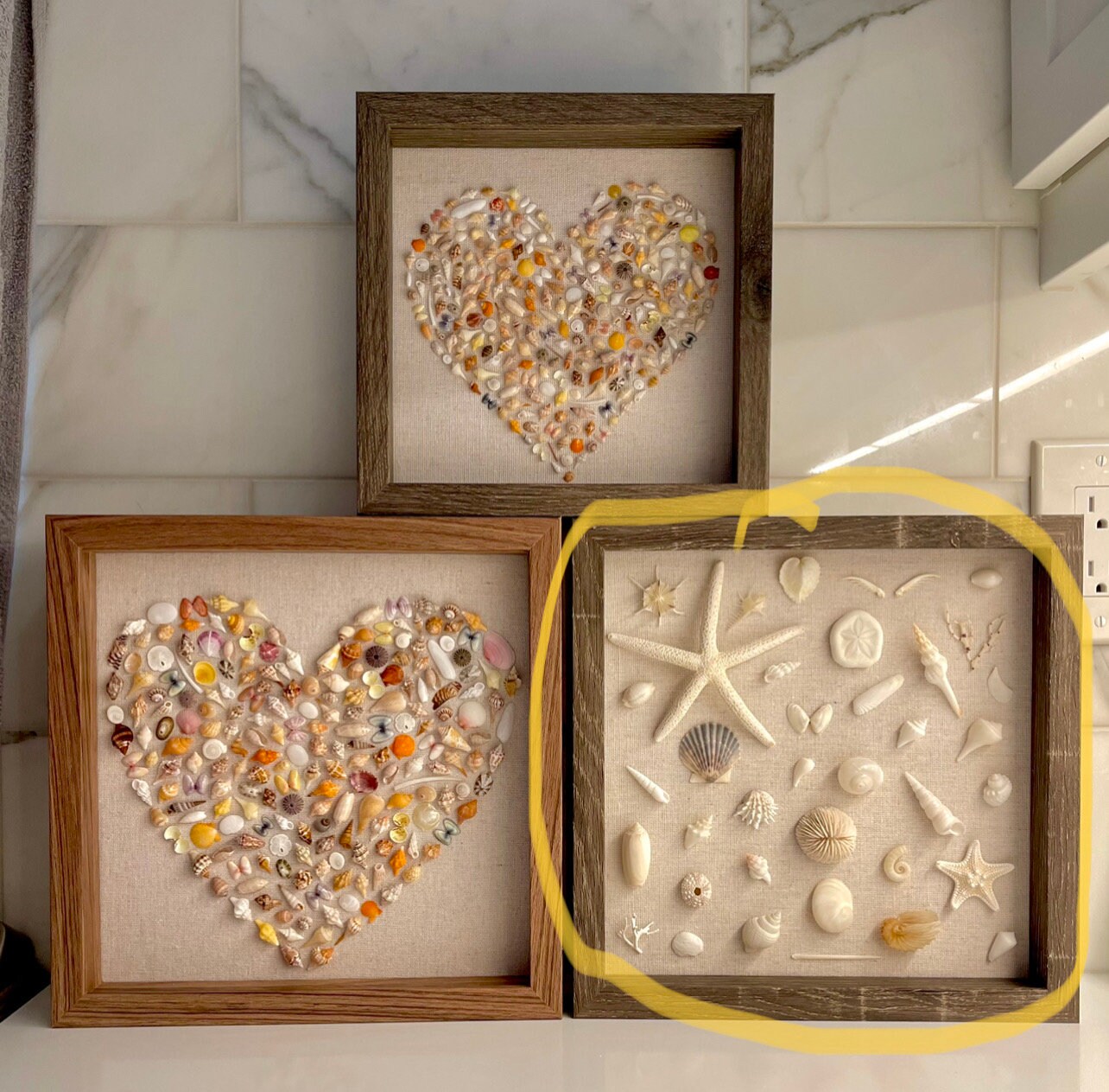 Shabby Chic Sea Shell Shadow Box Wall Hanging 10x10 - Etsy