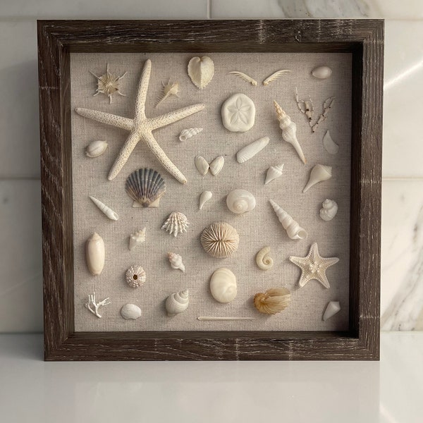 Seashell Shadow Box - Etsy