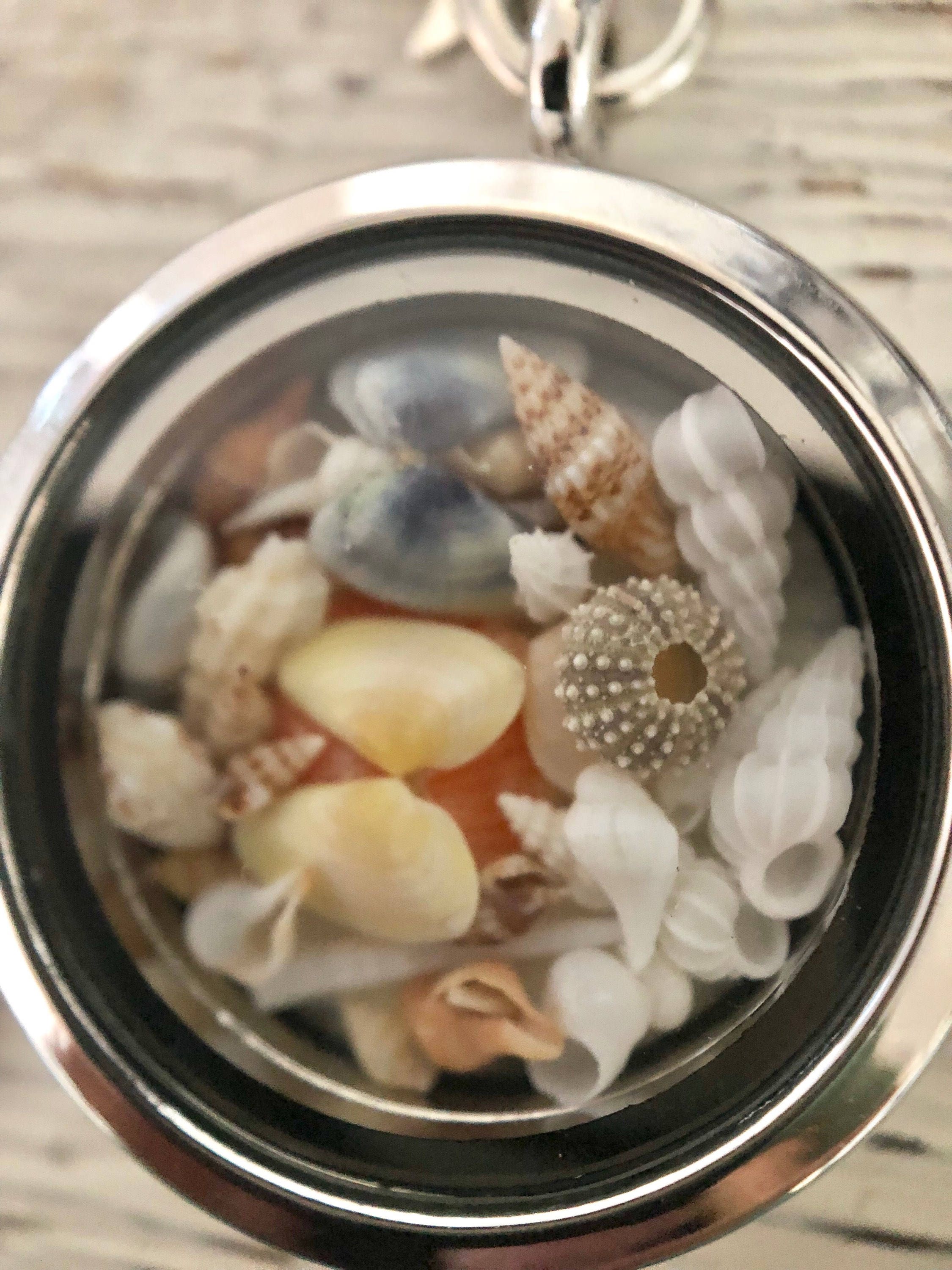 SWFL Micro Shells Locket Beach Jewelry Seashells Gift - Etsy