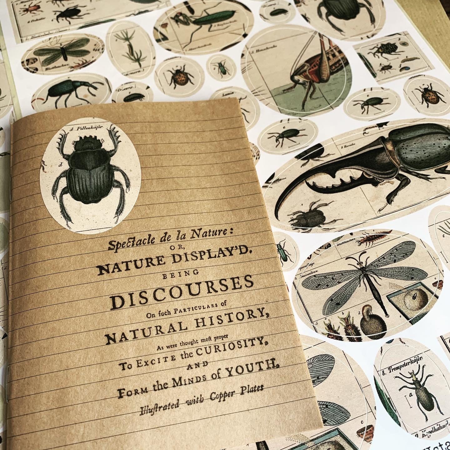 Insects and Bugs Paper Stickers Vintage Style / DIN A 4 | Etsy